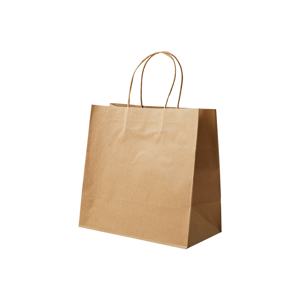 Medium Kraft Paper Bag with Twist Handle – Vektropack